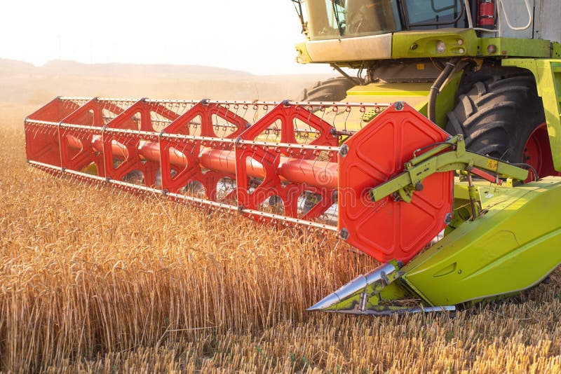 Combine Harvester Close Up. Combine Harvester Harvesting Wheat at ...