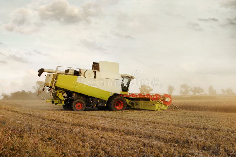 Combine harvester at corn stock image. Image of corns - 21056867 Combine harvester at corn stock image. Image of corns - 21056867