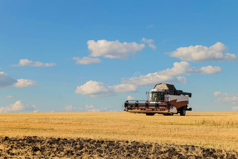 Combine Harvester in the Field during the Harvest Stock Image - Image ...