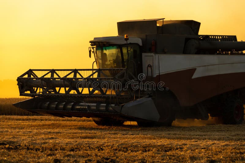 Combine Harvester on the Field at Sunset Stock Photo - Image of ...