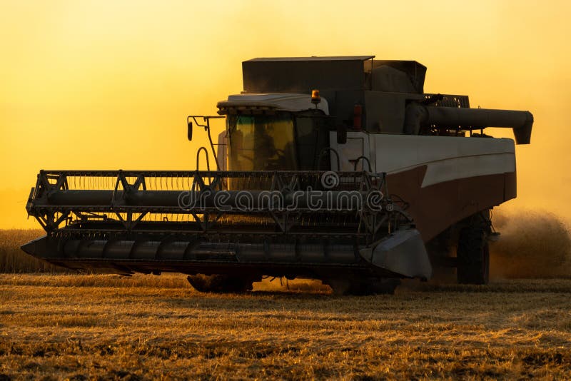 Combine Harvester on the Field at Sunset Stock Image - Image of ...