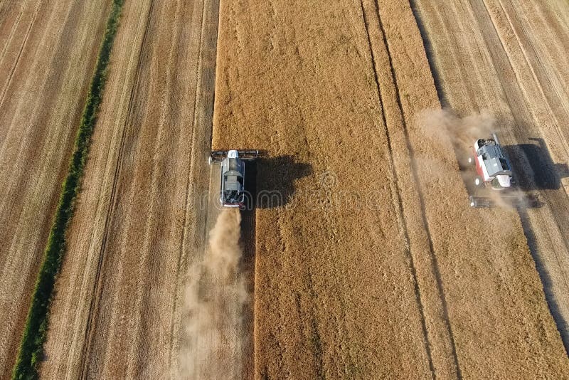 Combine Harvester Harvest Barley Stock Image - Image of barley ...