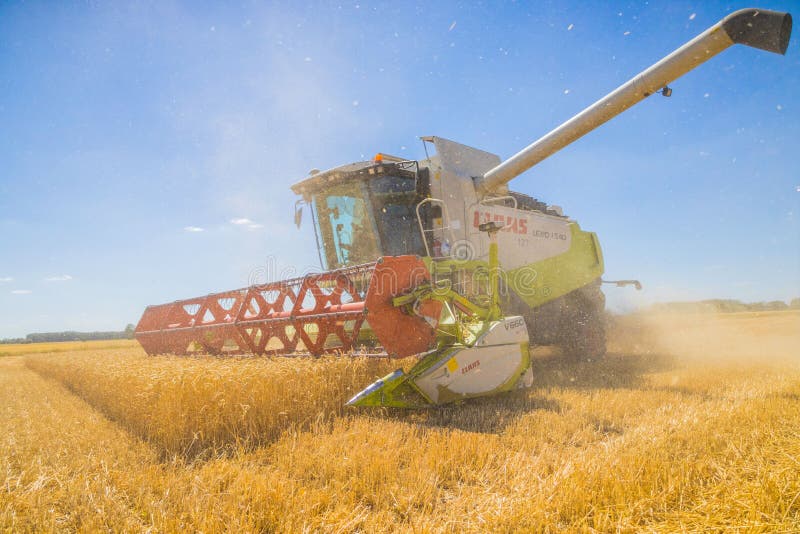 Combine Harvester Harvesting Ripe Golden Wheat on the Field Editorial ...