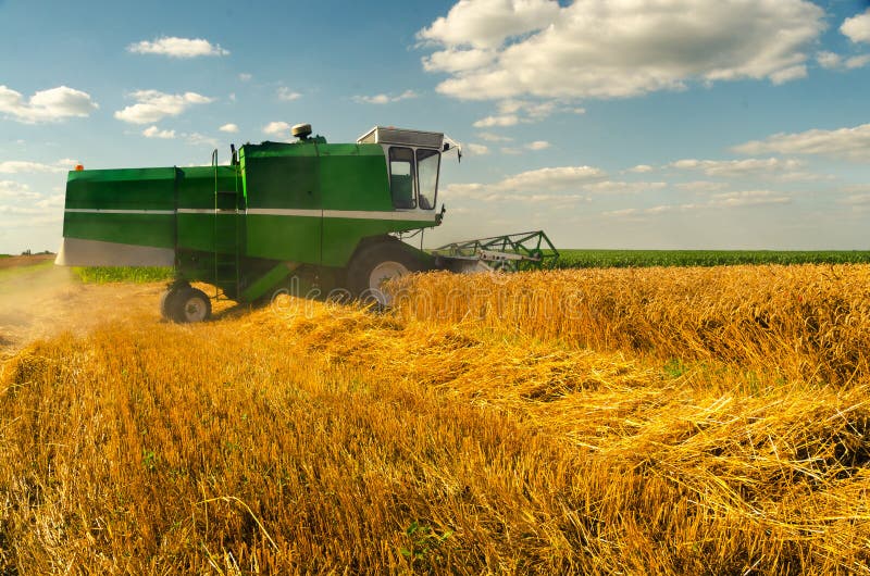 Harvesting combine stock image. Image of gold, harvest - 6242633