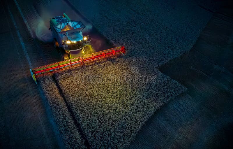 Combine Harvester are Harvesting Wheat at Night. Stock Illustration ...