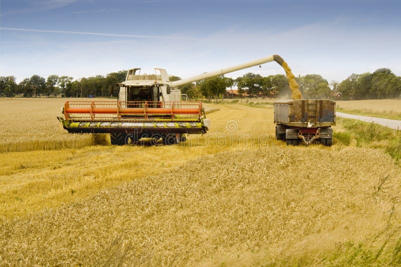 Combine Harvester Loading Grain into a Trailer Stock Image - Image of ... Combine Harvester Loading Grain into a Trailer Stock Image - Image of ...