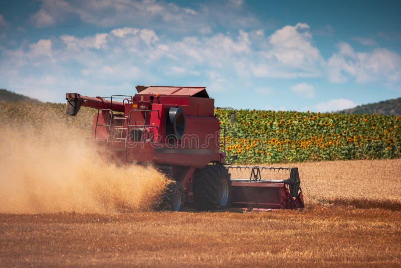 Combine Harvester Machine Working in a Wheat Field Stock Photo - Image ...