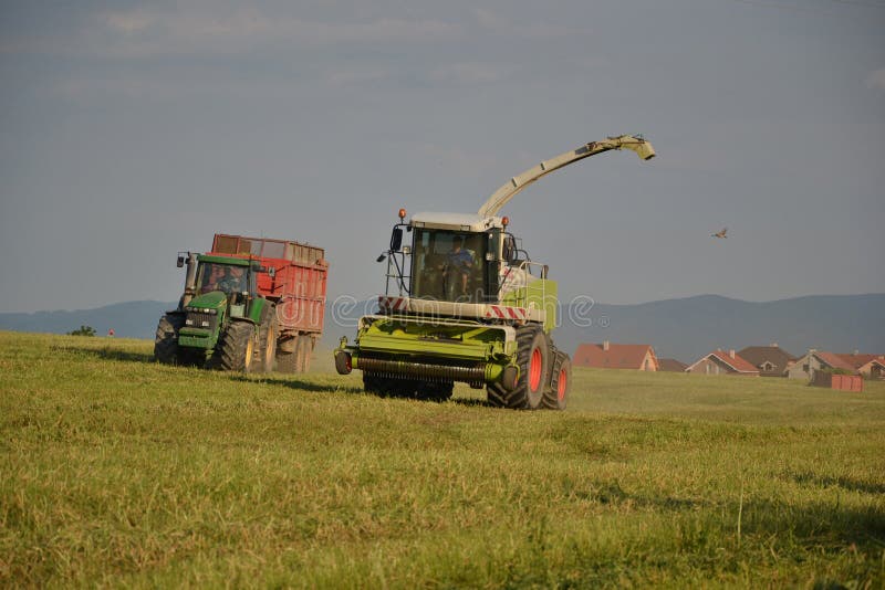 Combine Harvester Mows the Field, Harvester Unloading into a Tractor ...