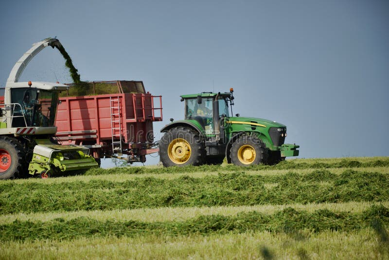 Combine Harvester Mows the Field, Harvester Unloading into a Tractor ...