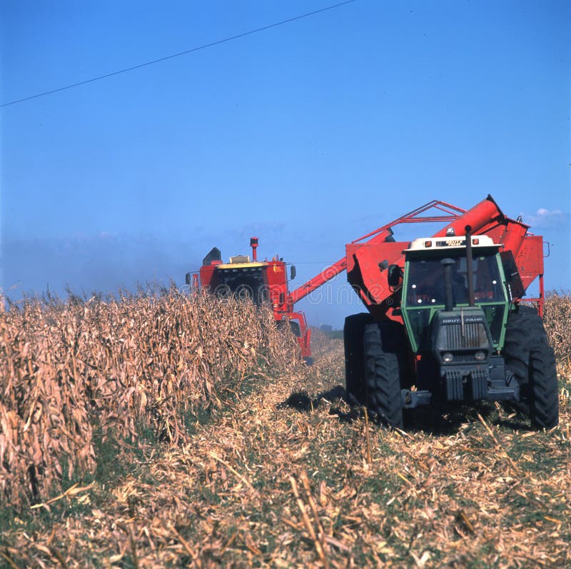 Combine Harvester Pours Corn Maize Seeds Stock Image - Image of seeds ...
