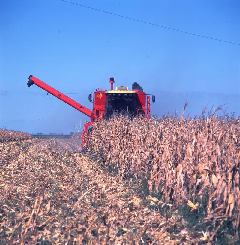 Combine Harvester Pours Corn Maize Seeds Stock Image - Image of wind ...
