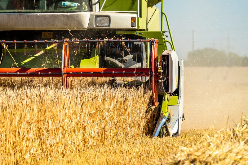Combine Harvester Reaping Wheat Stock Photo - Image of bread, land ...