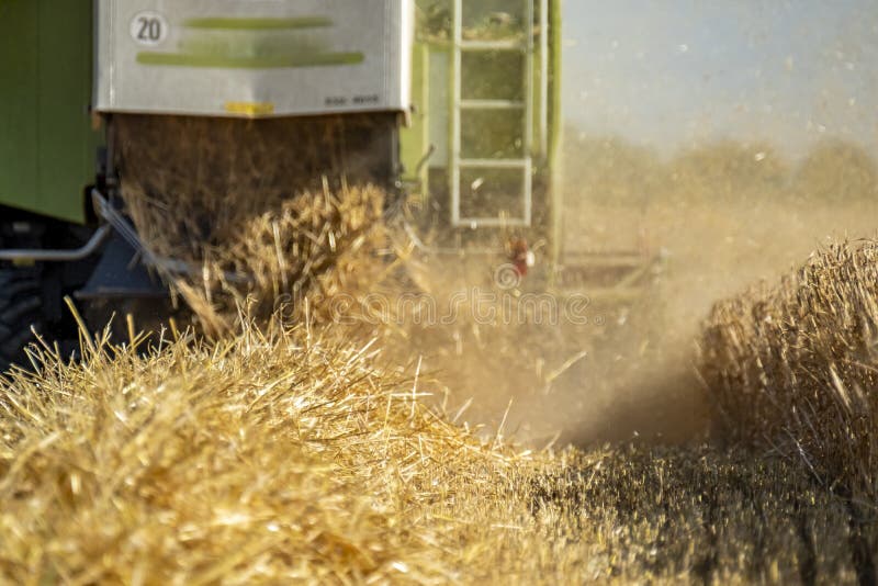 Combine Harvester Reaping Wheat Stock Image - Image of barley, cereal ...