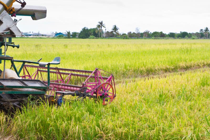 Combine Harvester on a Rice Field Stock Photo - Image of heavy ...
