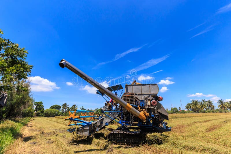 Combine Harvester in Rice Field Stock Image - Image of paddy, beautiful ...