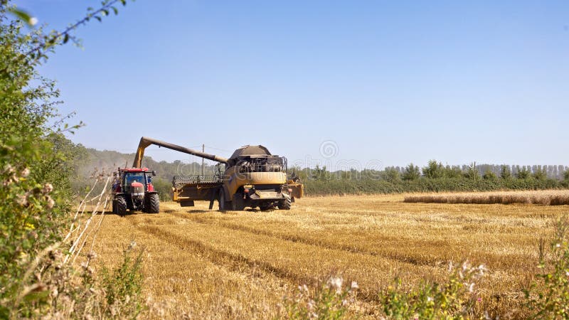 Combine Harvester and Tractor Stock Photo - Image of grain, crop: 27611654