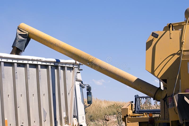 Combine Harvester and Truck Stock Image - Image of fall, crop: 20279301