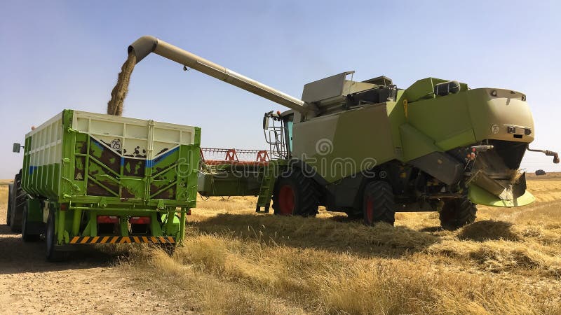 Combine Harvester Unloading Barley Onto Trailer Stock Photo - Image of ...