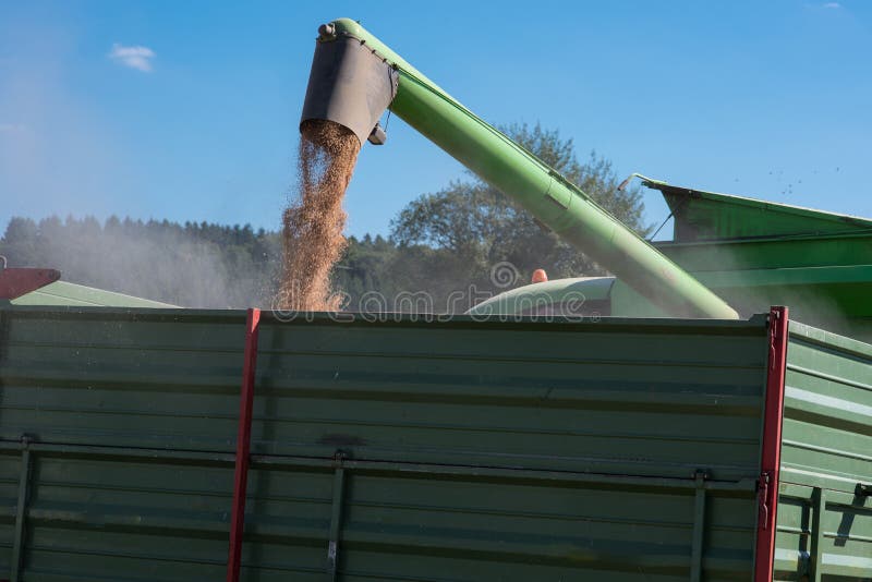 Unloading Corn stock photo. Image of country, agriculture - 26881840