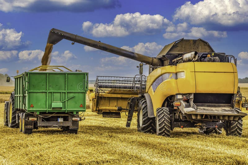 Combine Harvester Unloading Grain into the Tractor on the Agricultural ...