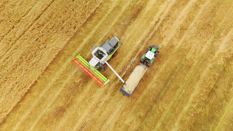 Combine Harvester Unloading Grain into Tractor Trailer during Wheat ...