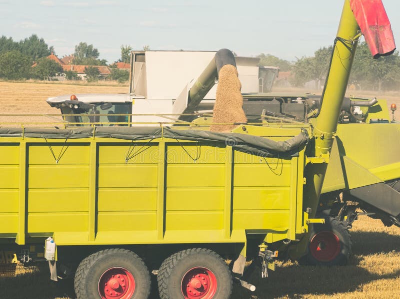 Combine Harvester Unloading Grain Stock Image - Image of green, grain ...