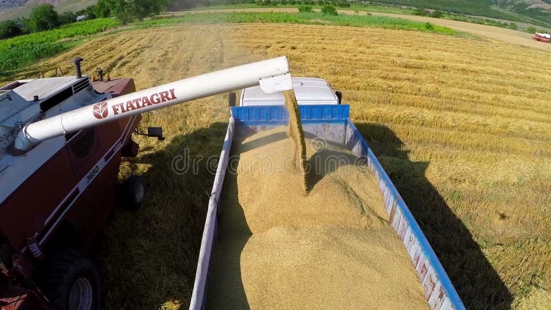 Combine Harvester Unloading Grain into the Truck Stock Footage - Video ...