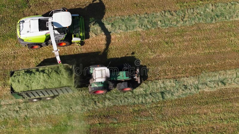Combine Harvester Unloading Grain into the Truck Trailer Stock Video ...