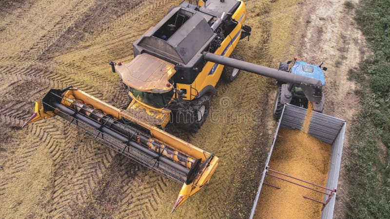 Combine Harvester Unloading Soybeans into Tractor Trailer Stock Footage ...