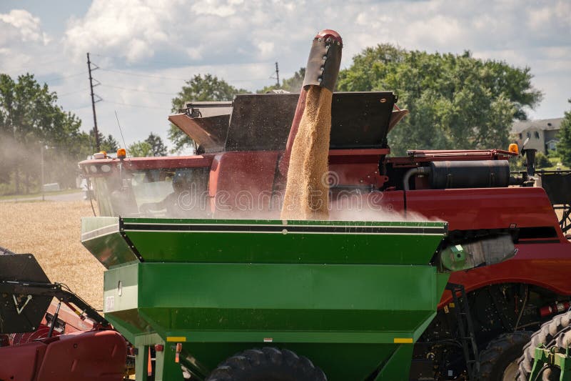 Close Up View of a Combine Harvester Unloading Wheat Grain into Tractor ...