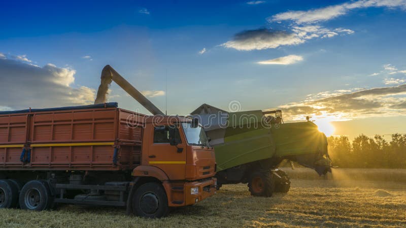 Combine Harvester on a Wheat Field Sunset Stock Image - Image of ...