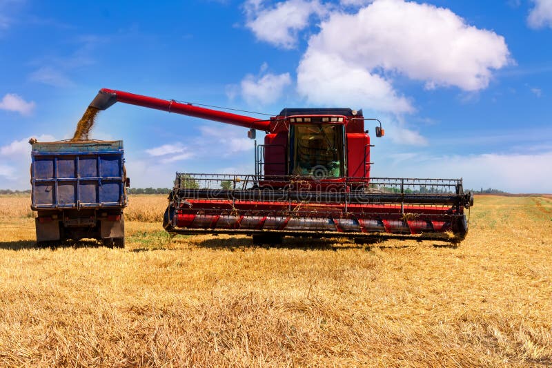 Combine Harvester on a Wheat Field. Stock Image - Image of industry ...