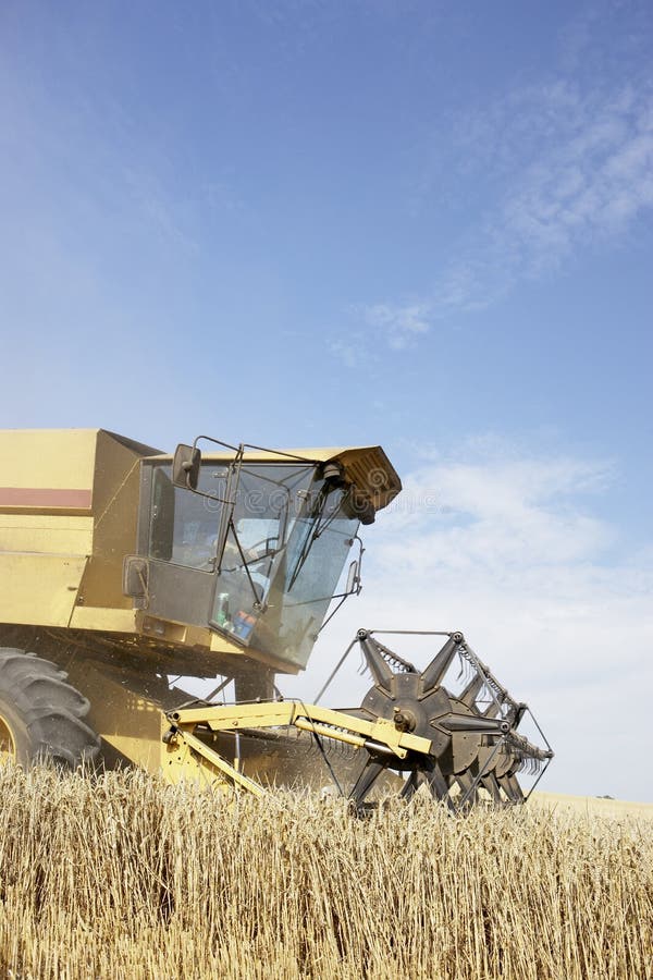 Combine Harvester Working in Field Stock Image - Image of machinery ...