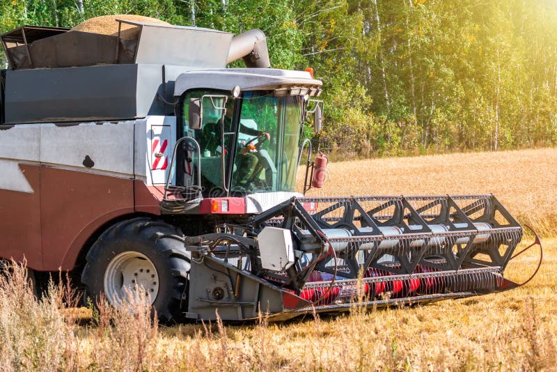 Combine Harvester Working in the Field Stock Photo - Image of heavy ...