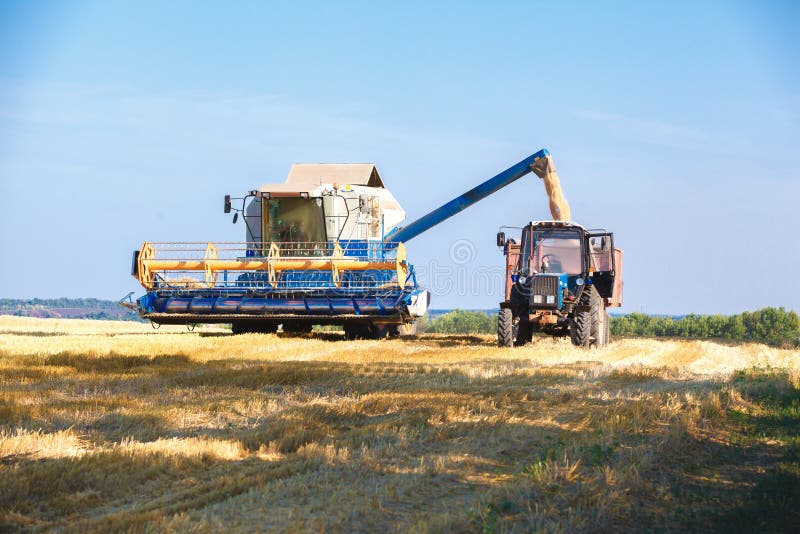 Combine harvester working stock photo. Image of crop - 50240702