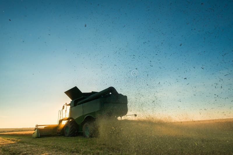 Combine Harvester Working on a Wheat Crop at Sunset Stock Photo - Image ...
