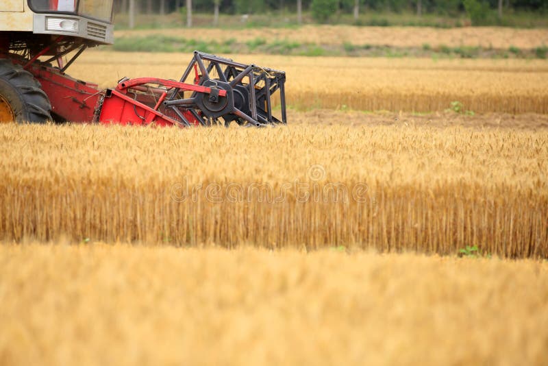 Combine harvester working stock image. Image of farming - 175826887