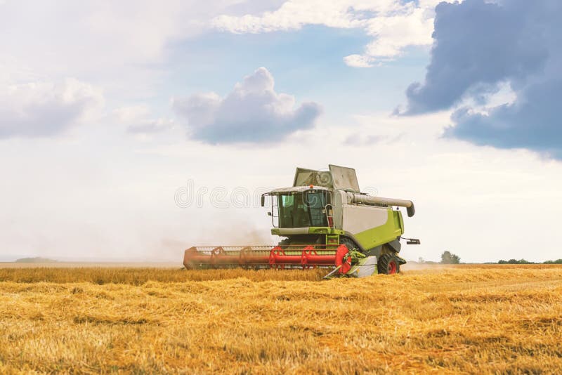 Combine Harvester Working on a Wheat Field. Harvesting Wheat Stock ...