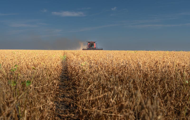 Harvesting Combine in the Wheat Stock Photo - Image of summer, field ...