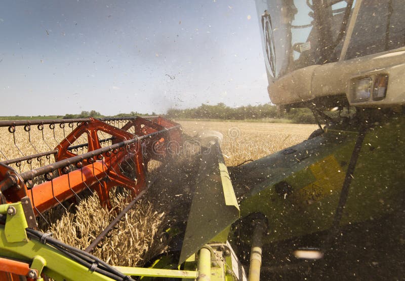 Harvesting Combine in the Wheat Stock Image - Image of harvest, cutting ...