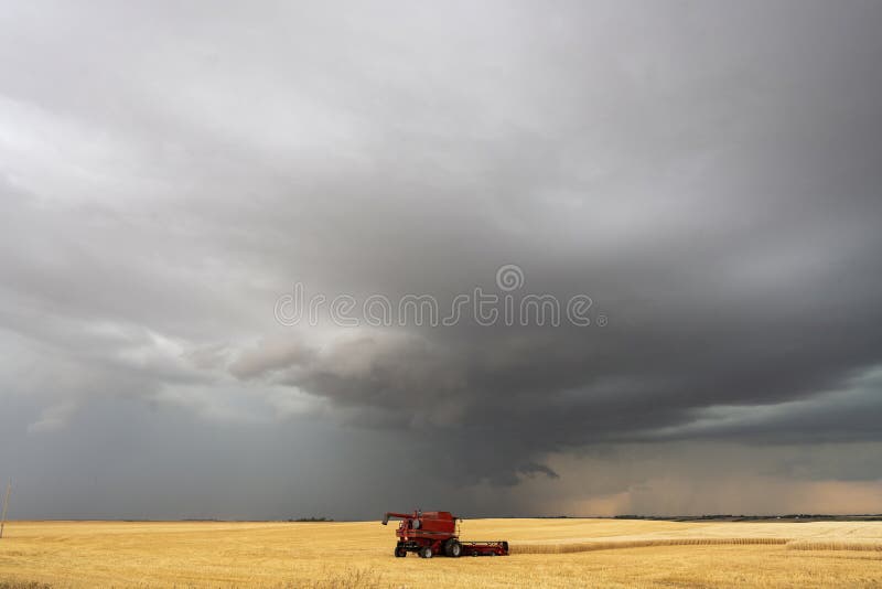 Combine Harvester Working in Wheat Field Under Stormy Sky Stock Image ...