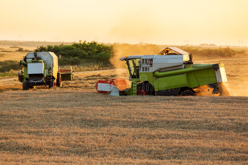 Combine Harvesters in Action on Wheat Field Sunset. Stock Photo - Image ...