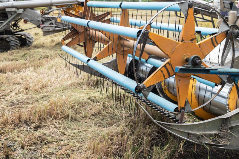 Paddy Harvesters on Paddy Field Stock Image - Image of rice ...
