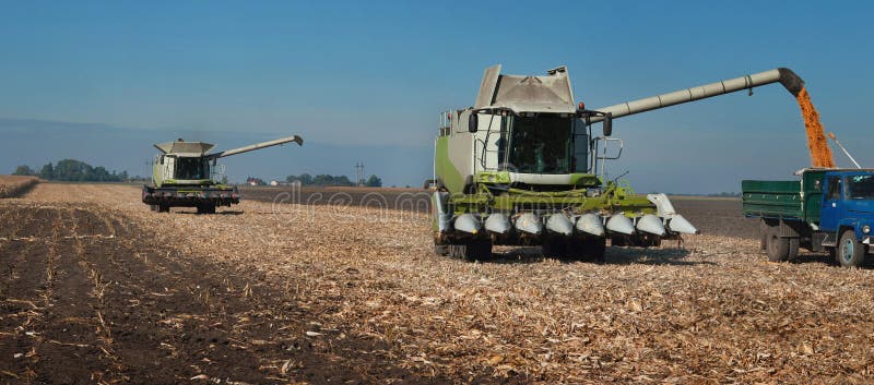 Combine Harvesters Unload Corn Grain into the Back of a Truck Stock ...