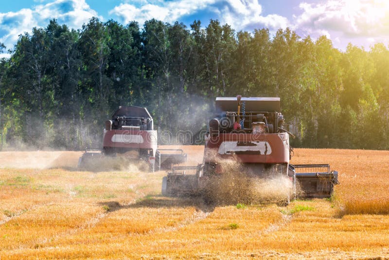 Combine Harvesters Working in the Field on a Clear Sunny Day Stock ...