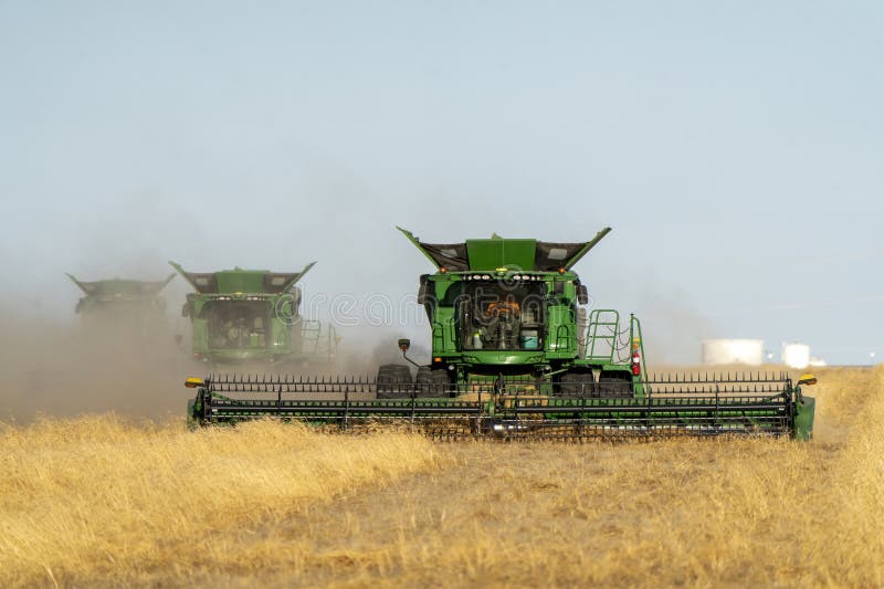 Combine Harvesters Working in a Wheat Field during Harvest Time Stock ...