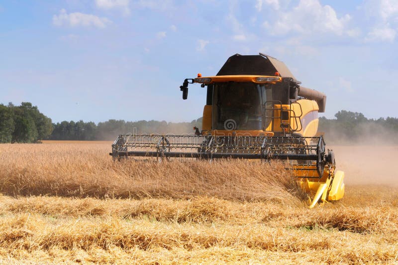 Modern Combine Harvester at Work Editorial Stock Photo - Image of ...
