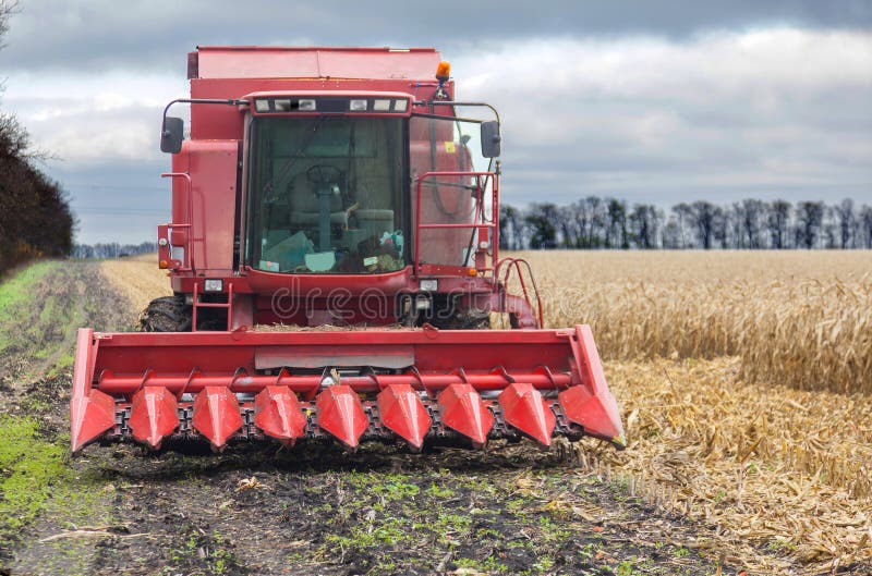 Combine for Harvesting Corn Stock Photo - Image of combine, combines ...