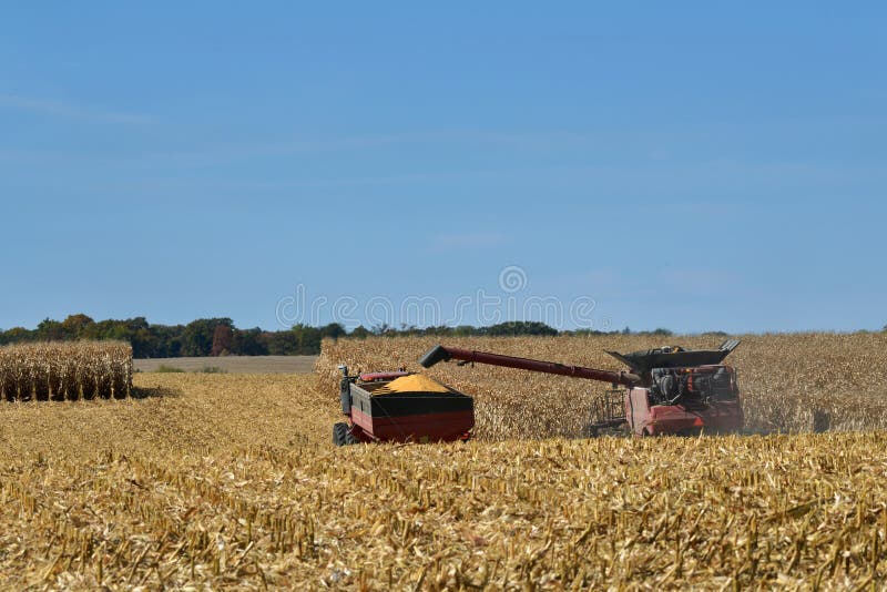 Combine Harvesting Corn and Unloading To a Grain Wagon Stock Photo ...