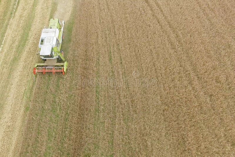 Combine Harvesting a Fall Corn Field Stock Image - Image of angle, land ...